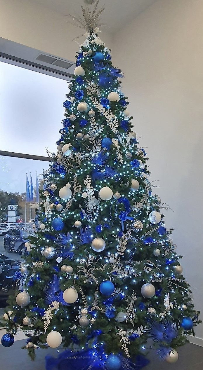 Christmas Tree Hire and Decoration For Businesses | Simply Plants